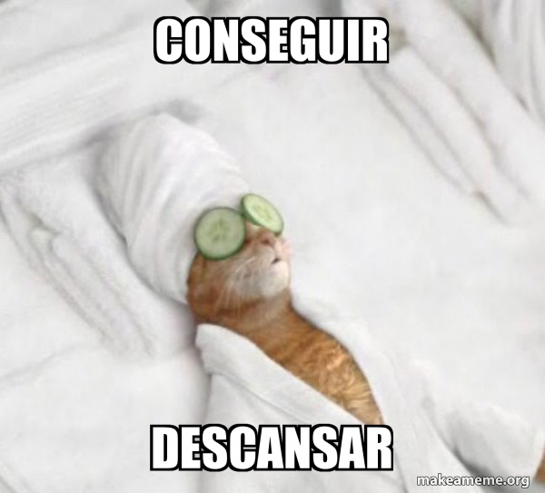 conseguir descansar - Pampered Cat Meme Meme Generator