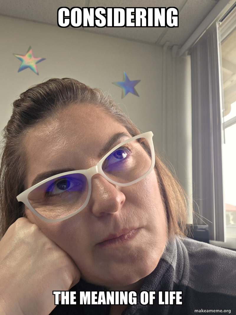 Considering the meaning of life Meme Generator