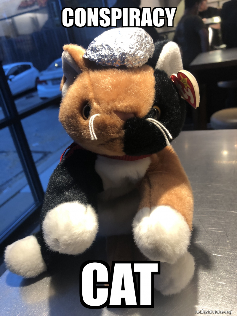 CONSPIRACY Cat Meme Generator