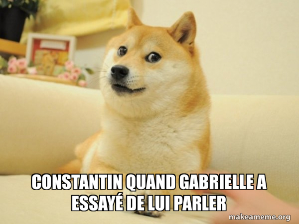 Constantin quand Gabrielle a essayé de lui parler - Doge Meme Generator