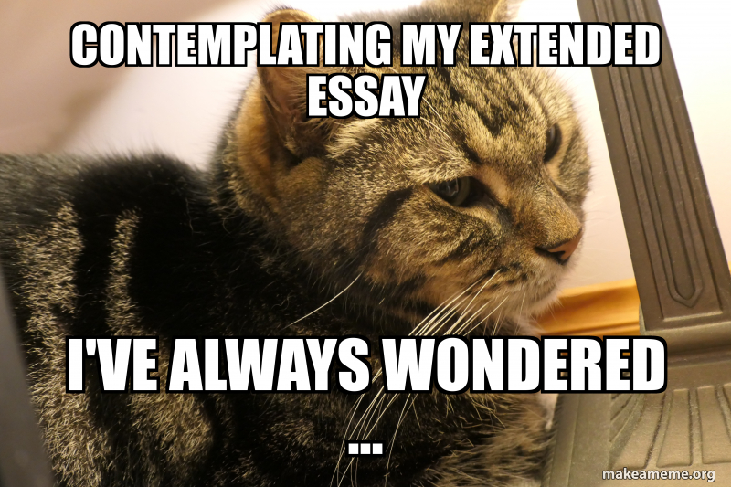 Contemplating my Extended Essay I've always wondered ... - EE 2025 Meme ...