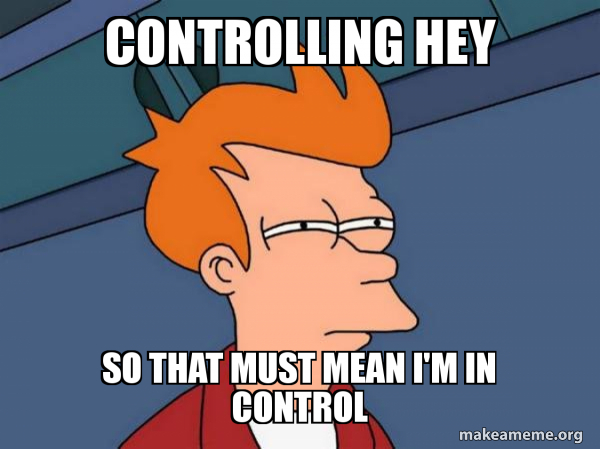 CONTROLLING HEY SO THAT MUST MEAN I'M IN CONTROL - Futurama Fry Meme ...