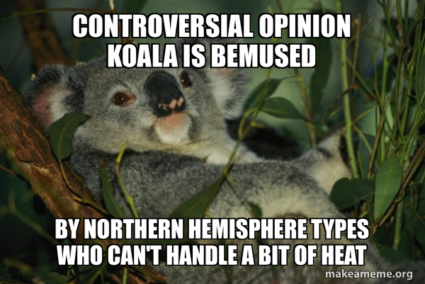 CONTROVERSIAL OPINION KOALA IS BEMUSED BY NORTHERN HEMISPHERE TYPES WHO ...