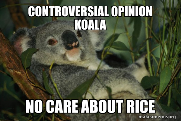 controversial opinion koala no care about rice - Laid Back Koala Meme ...