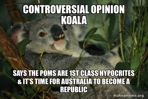 controversial opinion koala says the poms are 1st class hypocrites & it ...
