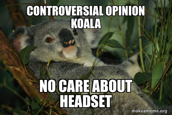 controversial opinion koala no care about headset - Laid Back Koala ...