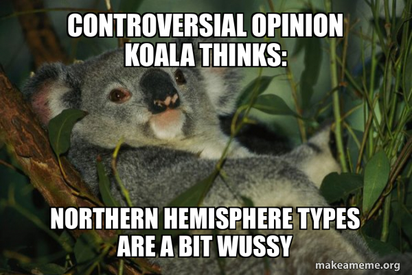 CONTROVERSIAL OPINION KOALA THINKS: NORTHERN HEMISPHERE TYPES ARE A BIT ...
