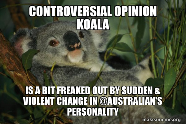 CONTROVERSIAL OPINION KOALA IS A BIT FREAKED OUT BY SUDDEN & violent ...