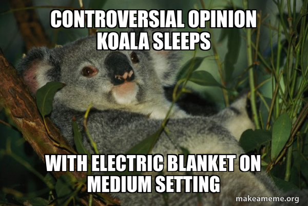 CONTROVERSIAL OPINION KOALA SLEEPS WITH ELECTRIC BLANKET ON MEDIUM ...