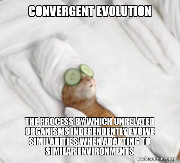 convergent evolution the process by which unrelated organisms ...