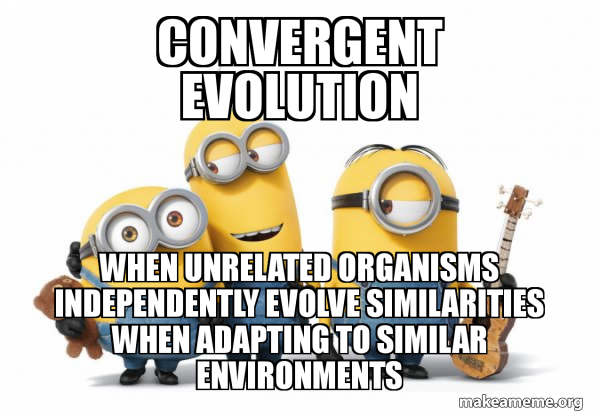Convergent evolution when unrelated organisms independently evolve ...