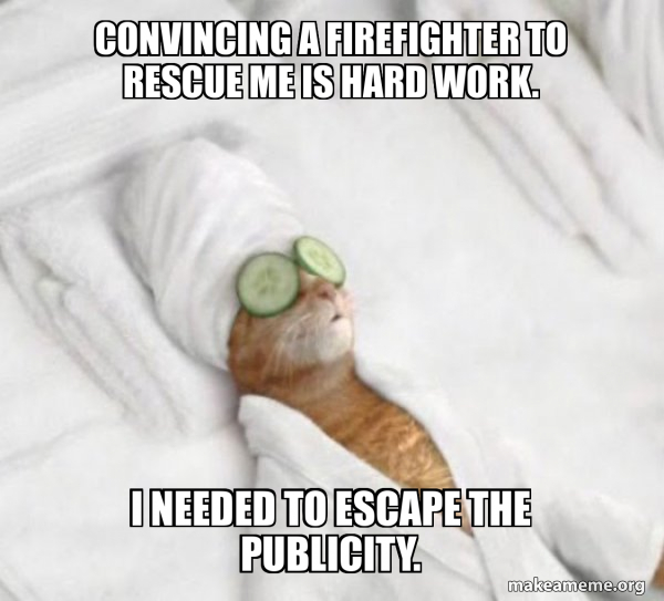 Convincing a firefighter to rescue me is hard work. I needed to escape ...