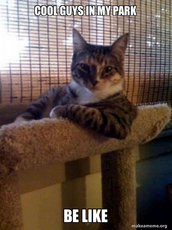 Cool guys in my park Be like - The Most Interesting Cat in the World Meme Generator