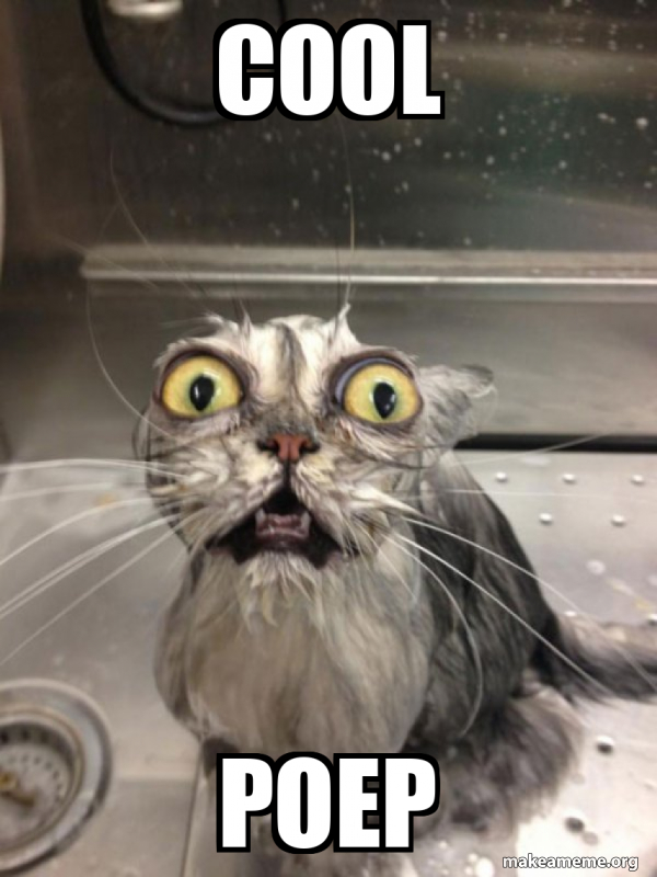 Cool Poep - Cat bath Meme Generator