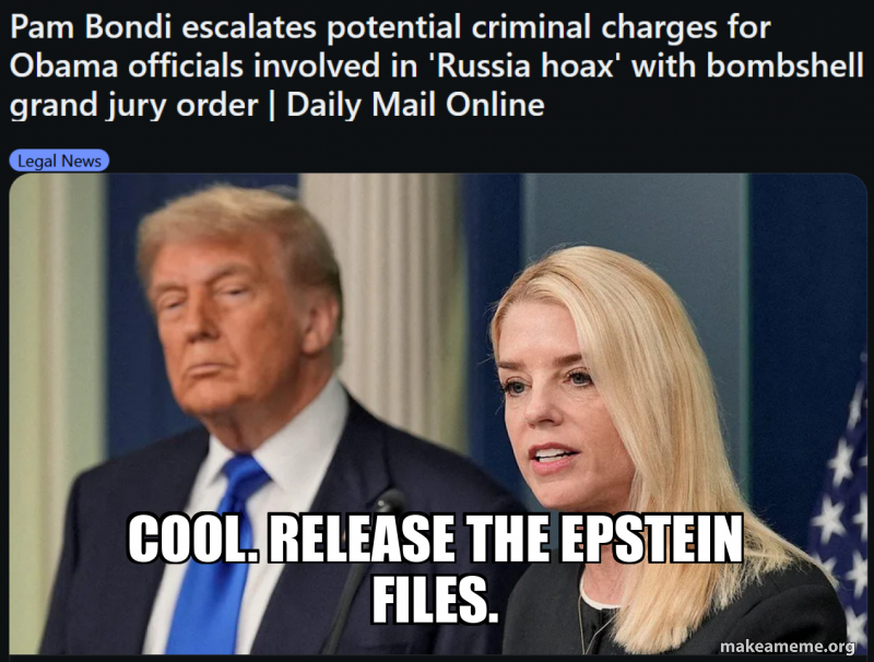 Cool. Release the Epstein files. Meme Generator