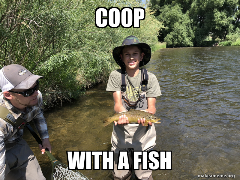 coop with a fish Meme Generator