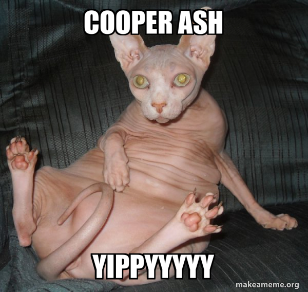 cooper ash yippyyyyy - Hairless Cat Meme Generator