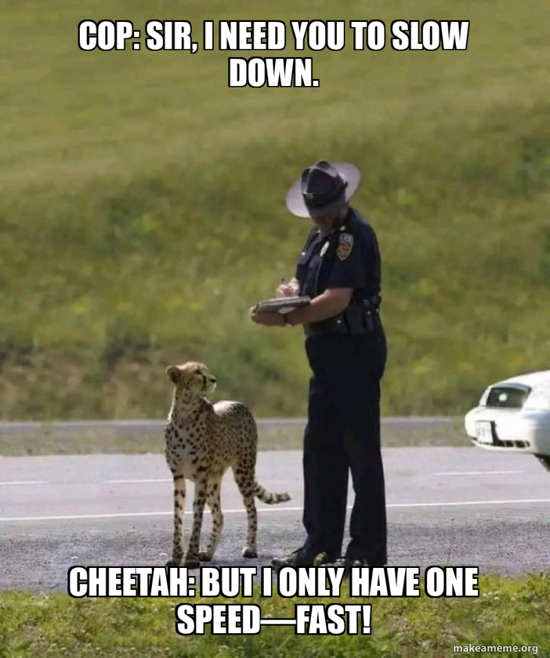 Cop: Sir, I need you to slow down. Cheetah: But I only have one speed ...