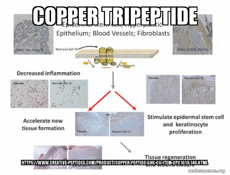 copper tripeptide https://www.creative-peptides.com/product/copper ...
