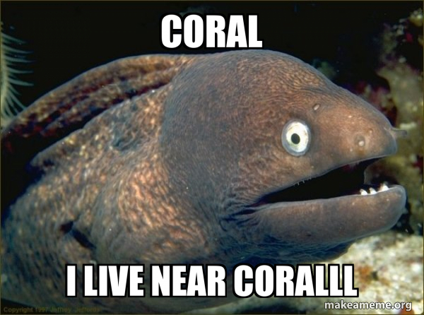 Coral I live near Coralll - Bad Joke Eel Meme Generator
