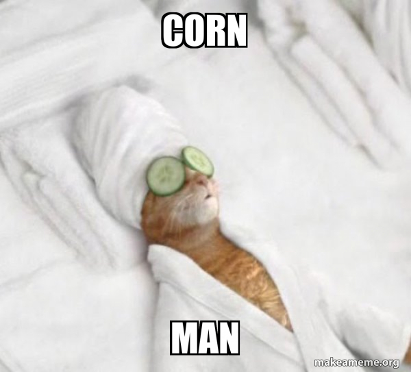 corn man - Pampered Cat Meme Meme Generator