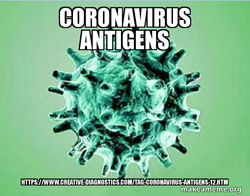 Coronavirus Antigens https://www.creative-diagnostics.com/tag ...