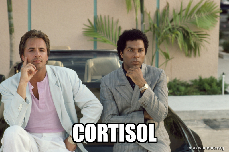cortisol Meme Generator