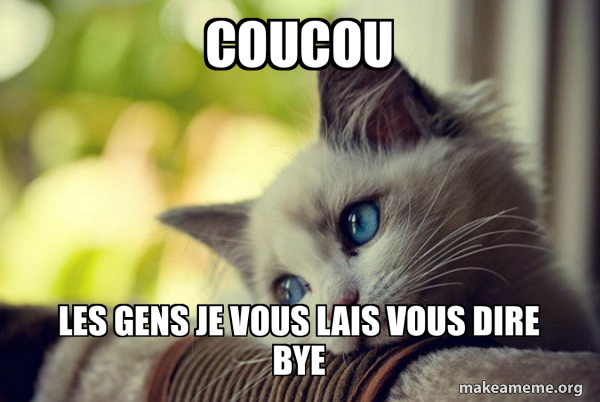 coucou les gens je vous lais vous dire bye - First World Cat Problems ...
