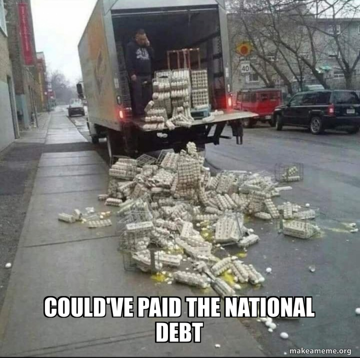 could've paid the national debt Meme Generator
