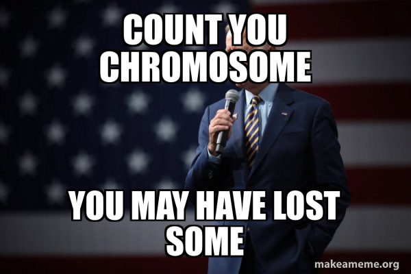 Count you chromosome you may have lost some - Joe Biden 2020 Meme Generator