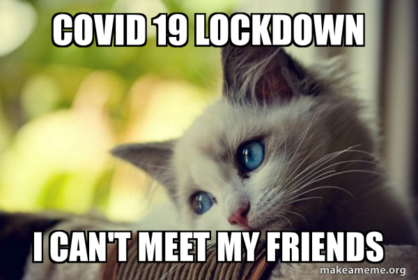 Covid 19 lockdown I can't meet my friends - First World Cat Problems ...