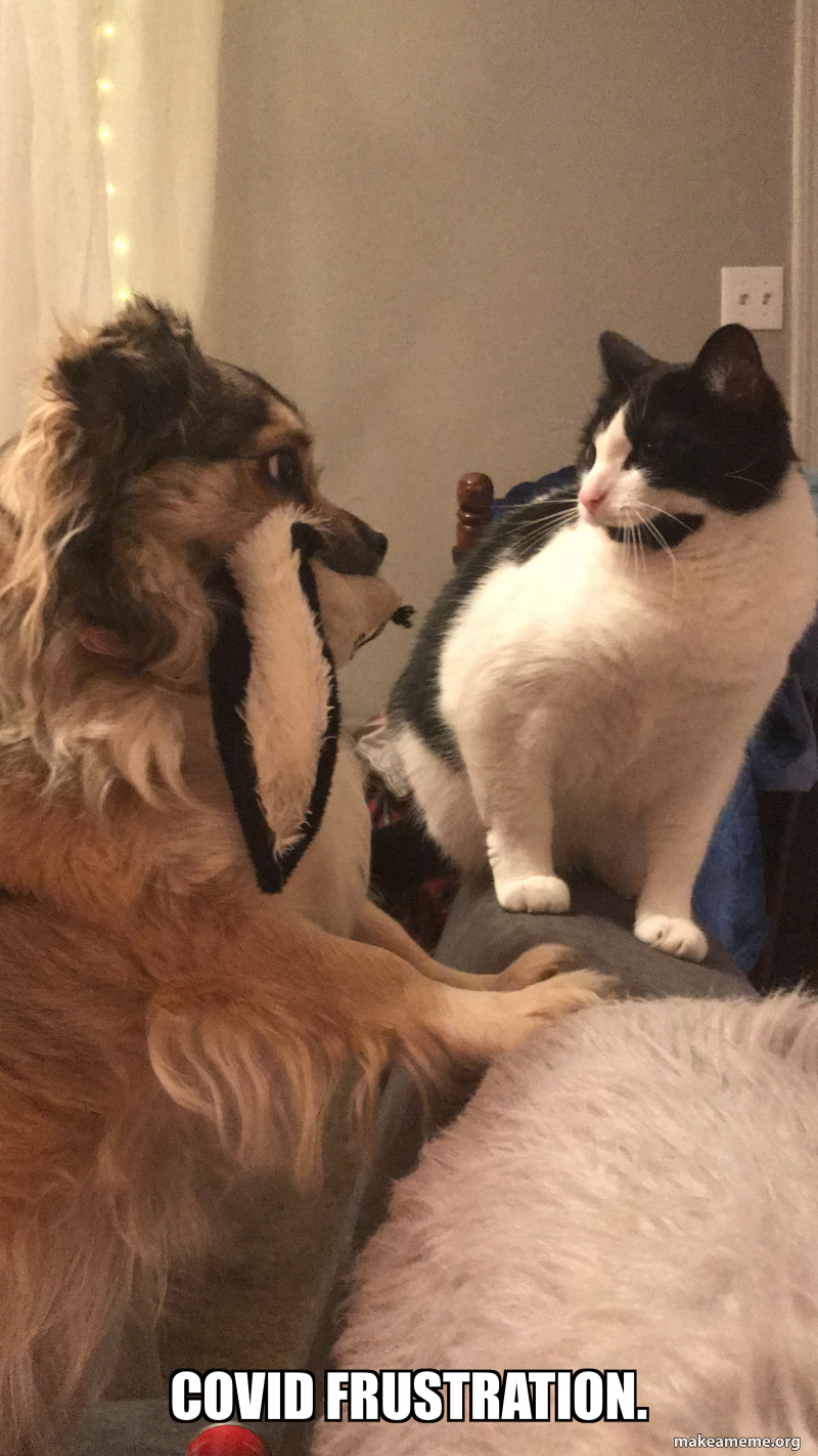 Covid frustration. Meme Generator