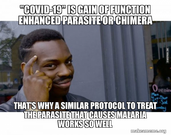 Parasite Infection Meme Flea & Tick Prevention Information!