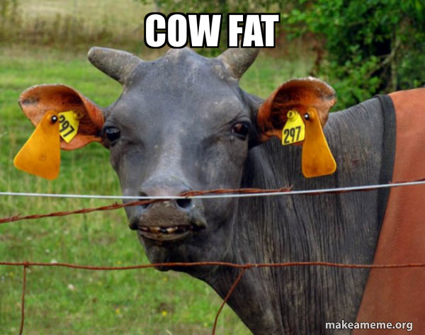 cow fat - Hairless Cow Meme Generator