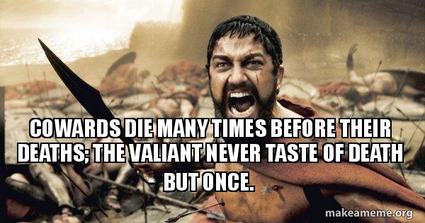 Valiant Memes Suggy (@suggy333) Gallade Bullying Iron Valiant In
