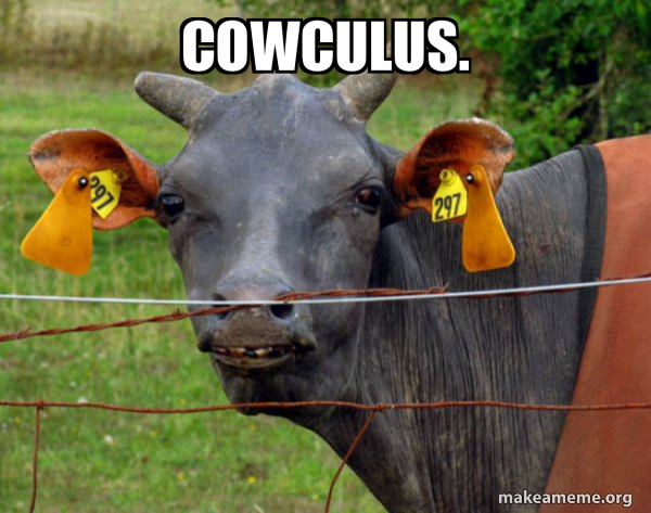 cowculus. - Hairless Cow Meme Generator
