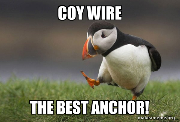coy wire the best anchor! - Unpopular Opinion Puffin Meme Generator