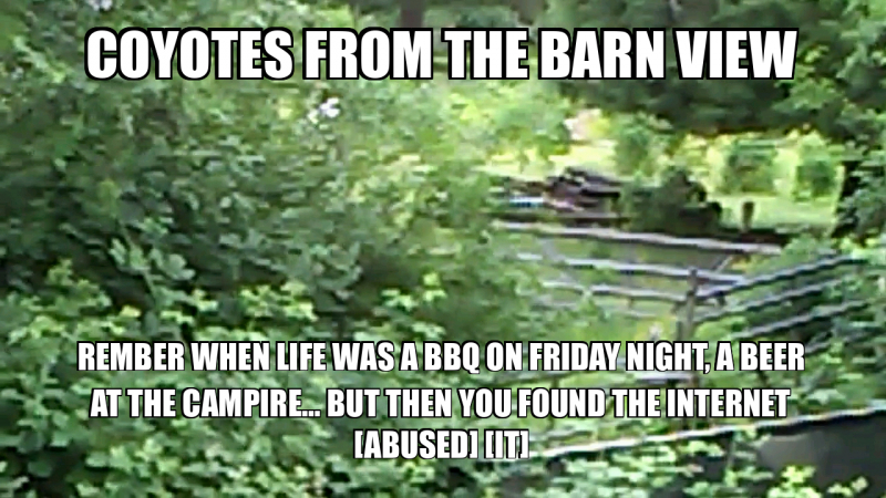 cOYOTES FROM THE BARN VIEW rEMBER WHEN LIFE WAS A BBQ ON FRIDAY NIGHT ...