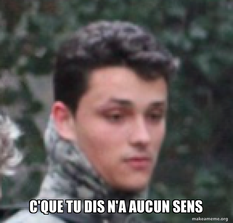 c'que tu dis n'a aucun sens Meme Generator