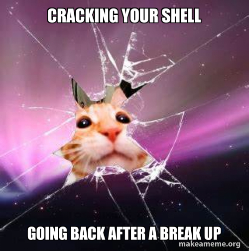 cracking your shell going back after a break up Meme Generator