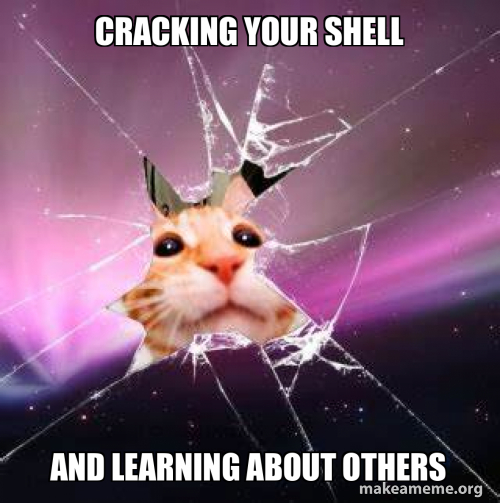 cracking your shell and learning about others Meme Generator