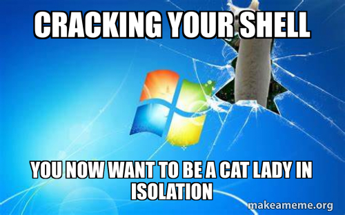 cracking your shell you now want to be a cat lady in isolation Meme ...