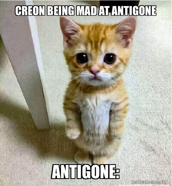 Creon being mad at Antigone Antigone: - Cute Cat Standing Meme Generator