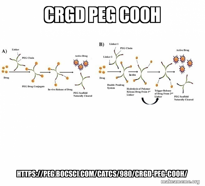 cRGD PEG COOH https://peg.bocsci.com/catcs/980/crgd-peg-cooh/ Meme Generator