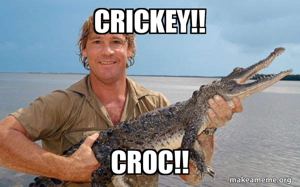crickey!! CROC!! - Steve irwin Meme Generator