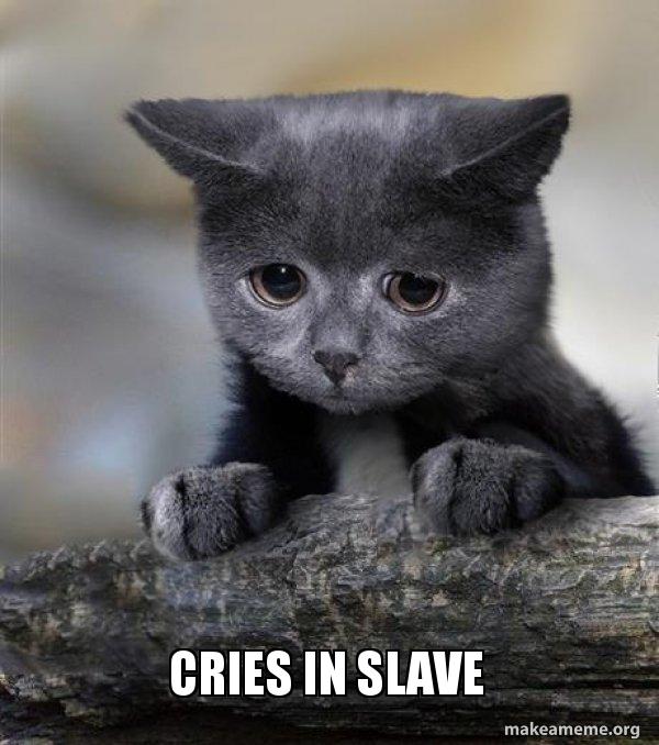 Cries in slave - Confession Cat Meme Generator