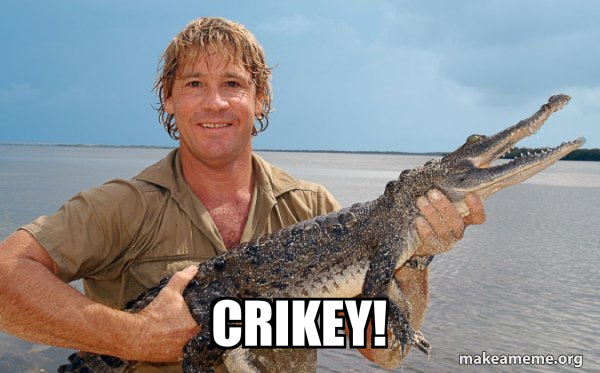 crikey! - Steve irwin Meme Generator