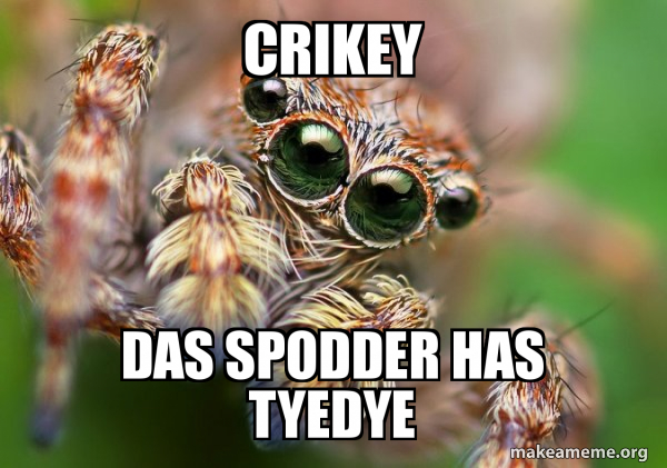 crikey DAS SPODDER HAS TYEDYE - Hipster Spider Meme Generator