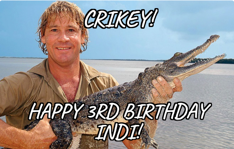CRIKEY! Happy 3Rd Birthday Indi! Meme Generator