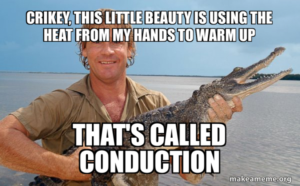 Crikey, this little beauty is using the heat from my hands to warm up ...